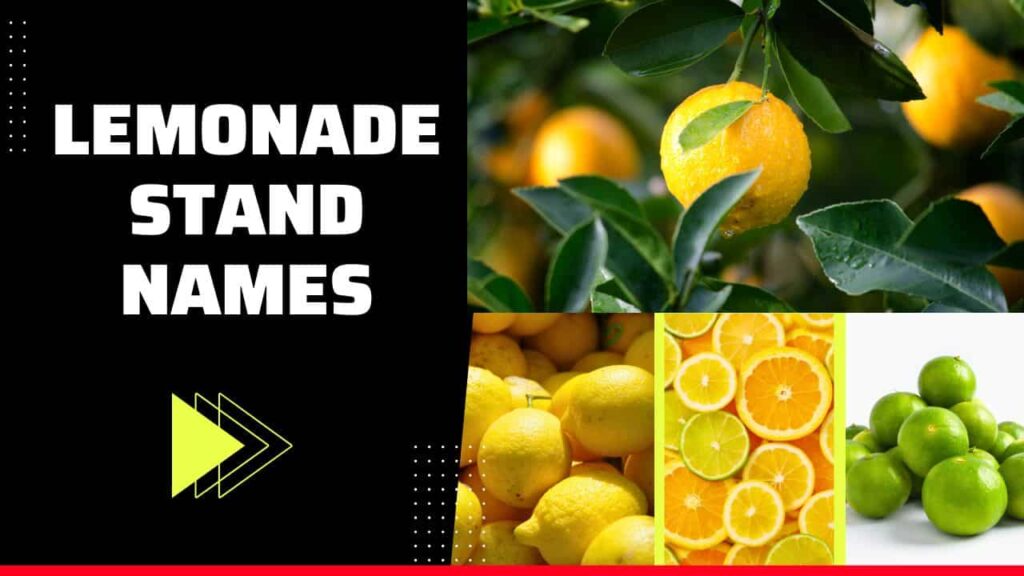 301+ Unique Lemonade Stand Names Ideas